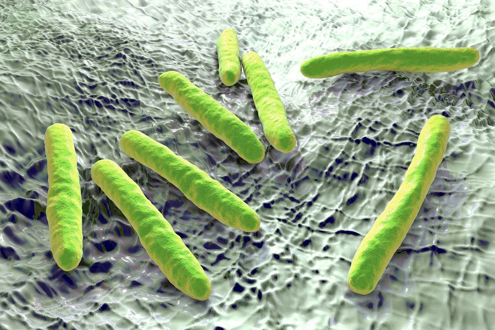 Tuberkuloosin esiintyvyys vähenee - Lääkärilehti