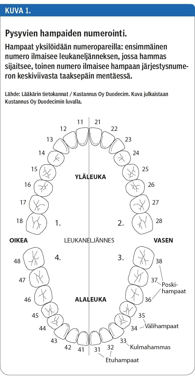 Potilasvakuutuskeskuksen aineiston analyysiHammasvauriot anestesian ja ...