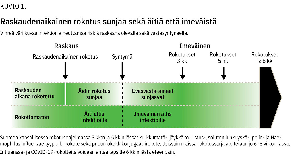 Raskaudenaikainen rokotus suojaa imeväistä - Lääkärilehti