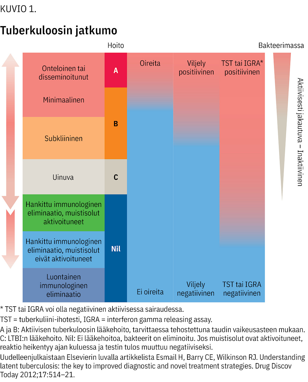Latentin tuberkuloosi-infektion seulonta ja hoito kannattaa kohdentaa ...